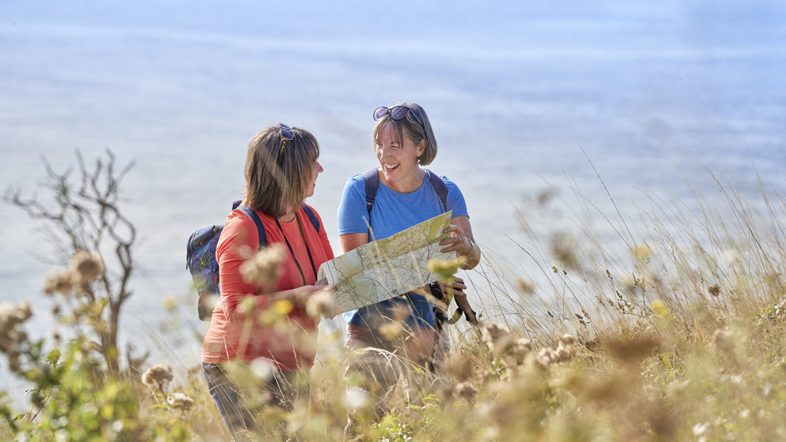 Welcome | English Riviera Walking Festival